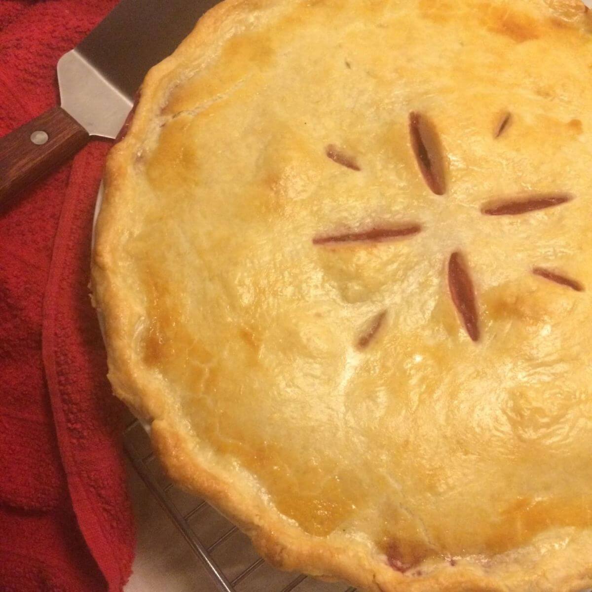 Triple Berry Pie with Rhubarb (refined-sugar free) - Garden to Griddle